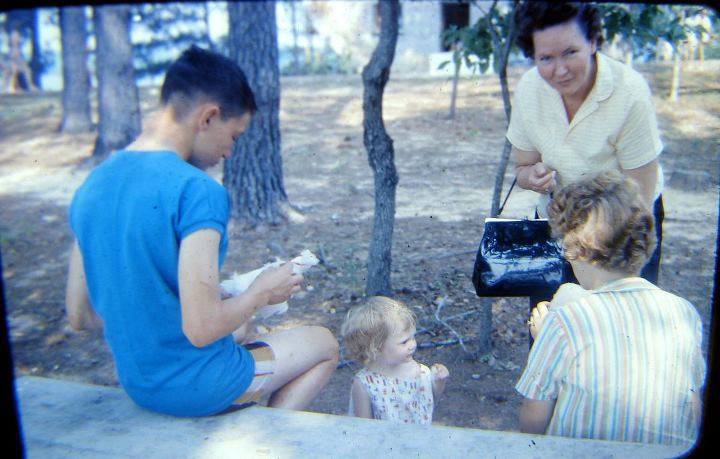 Baucom Family Bible Page: "Comer loved to stop at roadside picnic ...