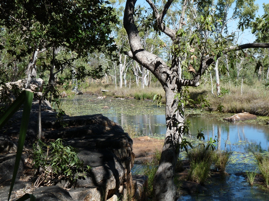 Alex & Jill Benham - Travelogue: Monday 1st July – Silent Grove to ...