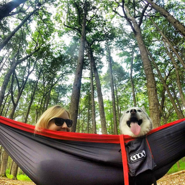 Hiking with Dogs Companion Site: August 2015