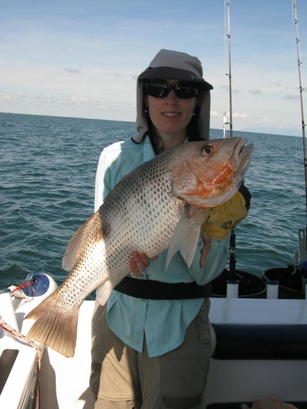 Alchemy Fishing: Reef and Offshore Fishing