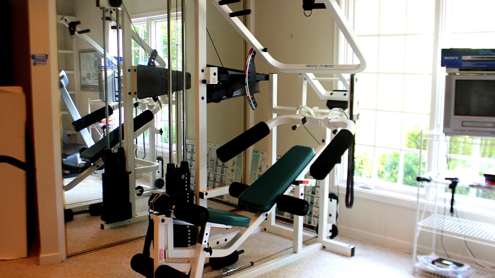Nordicflex Gold Home Gym - Gold Choices