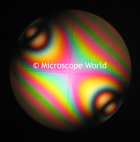 Microscope World Blog: Polarizing Microscope Interference Figures