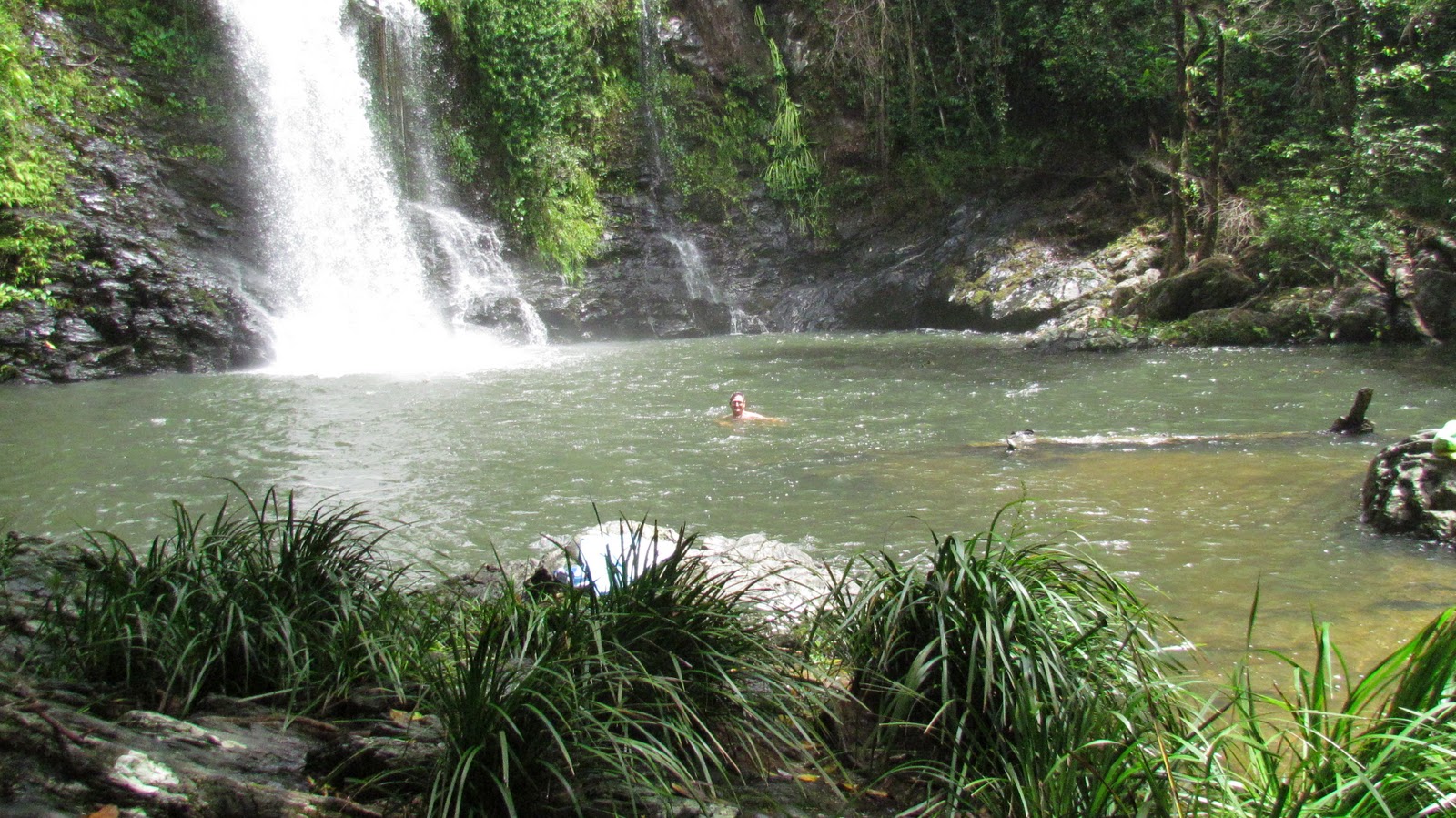 van Bilthoven naar Townsville: Julatten & Cassowary Falls