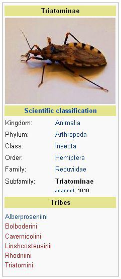 Chagas Penyakit AIDS Versi Baru - Berita Aneh dan Unik Terbaru