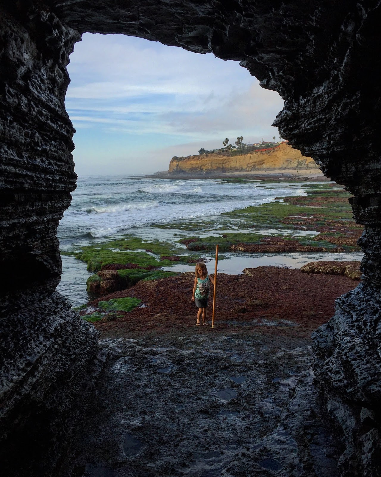 GrahamCrackers: Hike #61 Sunset Cliffs Natural Park