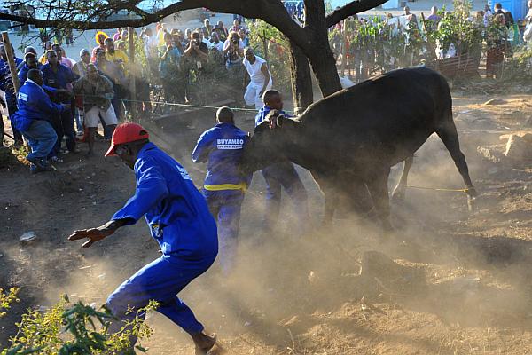 What is Happening in South Africa: ANC Celebrates 100-Year History With ...