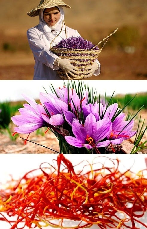 Business Ideas | Small Business Ideas: How to Grow Your Own Saffron ...