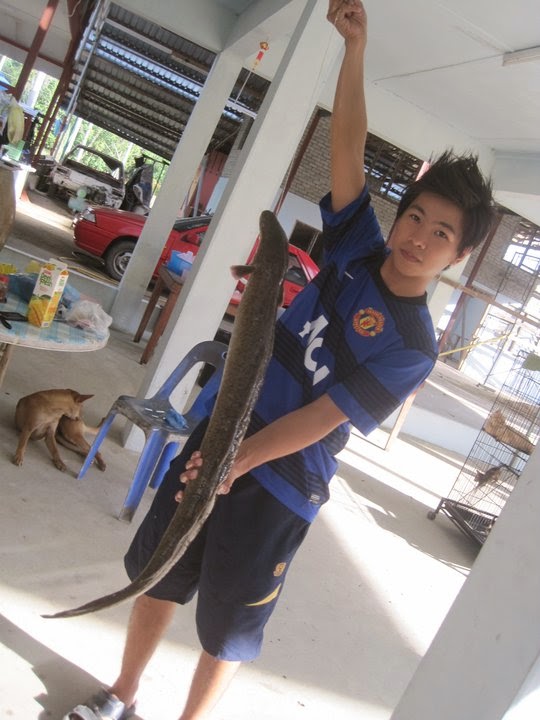 Sejarah Lagenda Ikan Sinsilog / Tambuakar Di Sabah - My News And Media Hub