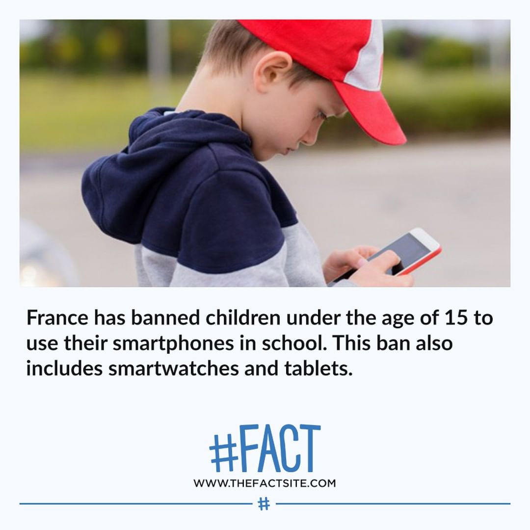 10 RANDOM TRUE FACTS – FUN FACTUAL ACTUAL FACTS 12 | Amazing WTF Facts