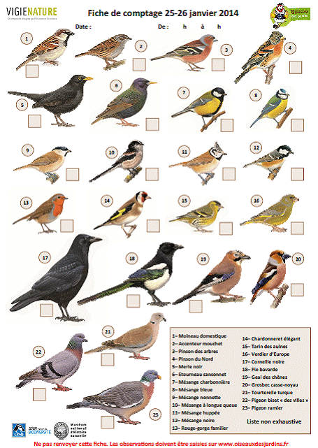 Aigronne Valley Wildlife: January 2014