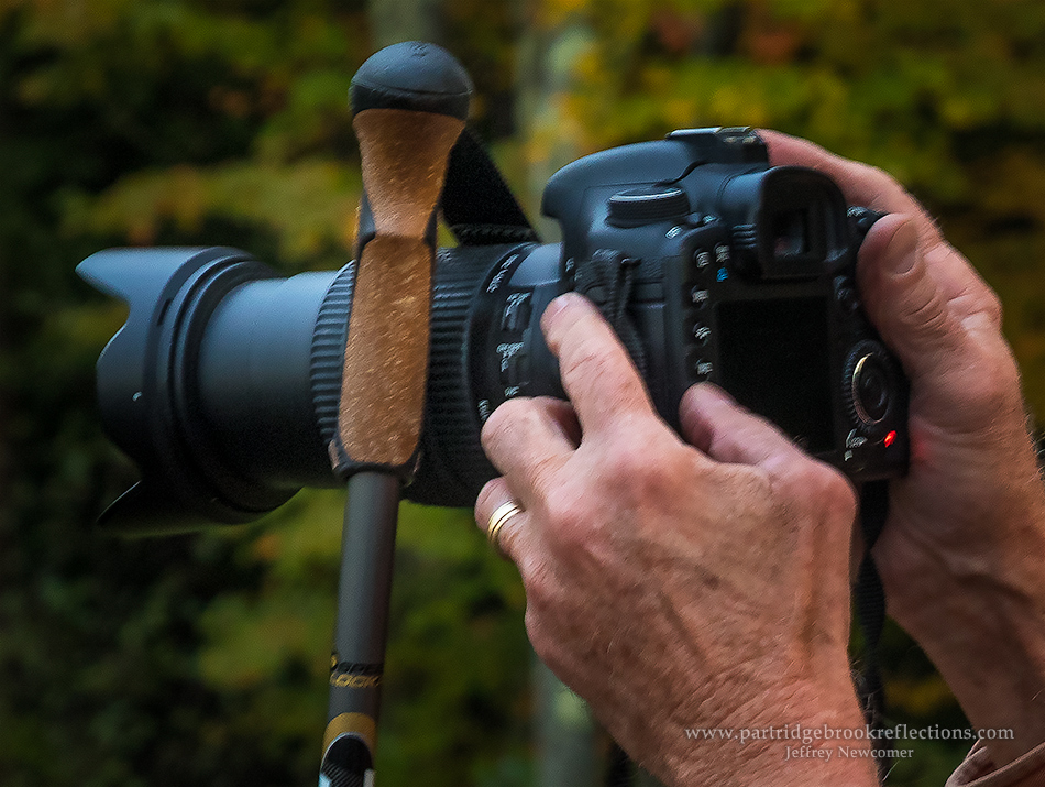 Getting it Right in the Digital Camera : Walkikng Stick Camera ...