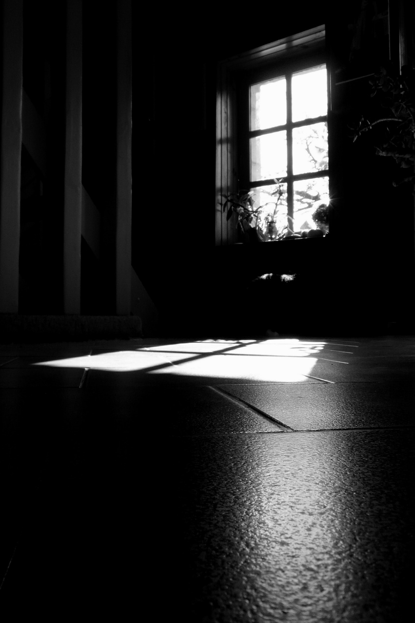 Dominique photo: Clair-obscur