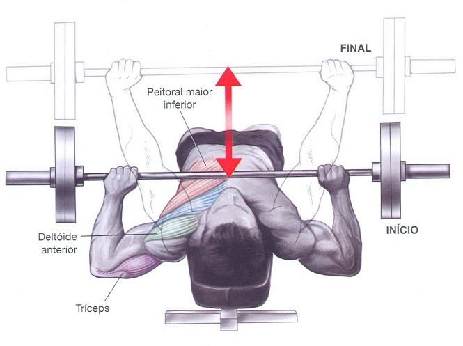CorposFlex Blog: Supino inclinado para melhores peitorais