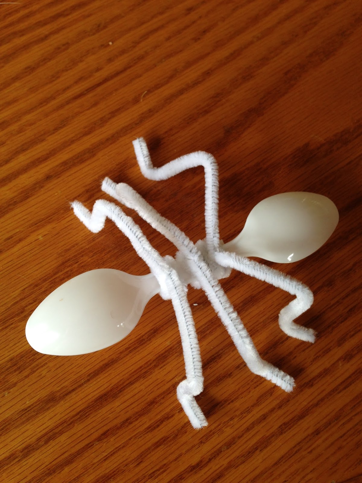 What I Live For: Plastic Spoon Ants