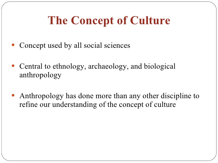 ARCHOLOGY IS THE SCIENCE OF GOVERNMENT: CULTURE