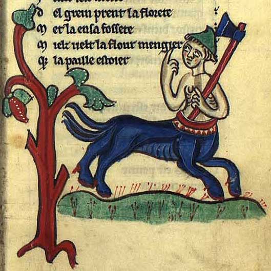 5e Rescue Encounter: Onocentaur, Bear, and Coneys