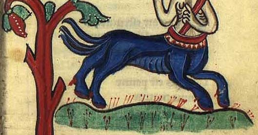 5e Rescue Encounter: Onocentaur, Bear, and Coneys