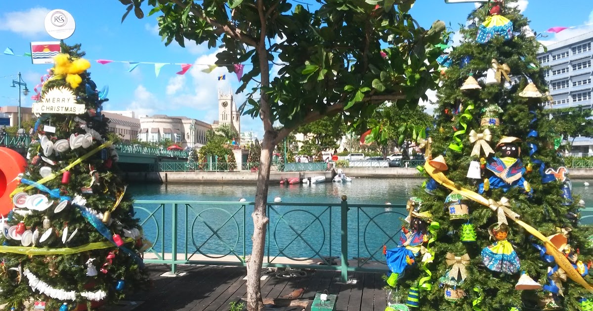 Barbados Christmas Trees