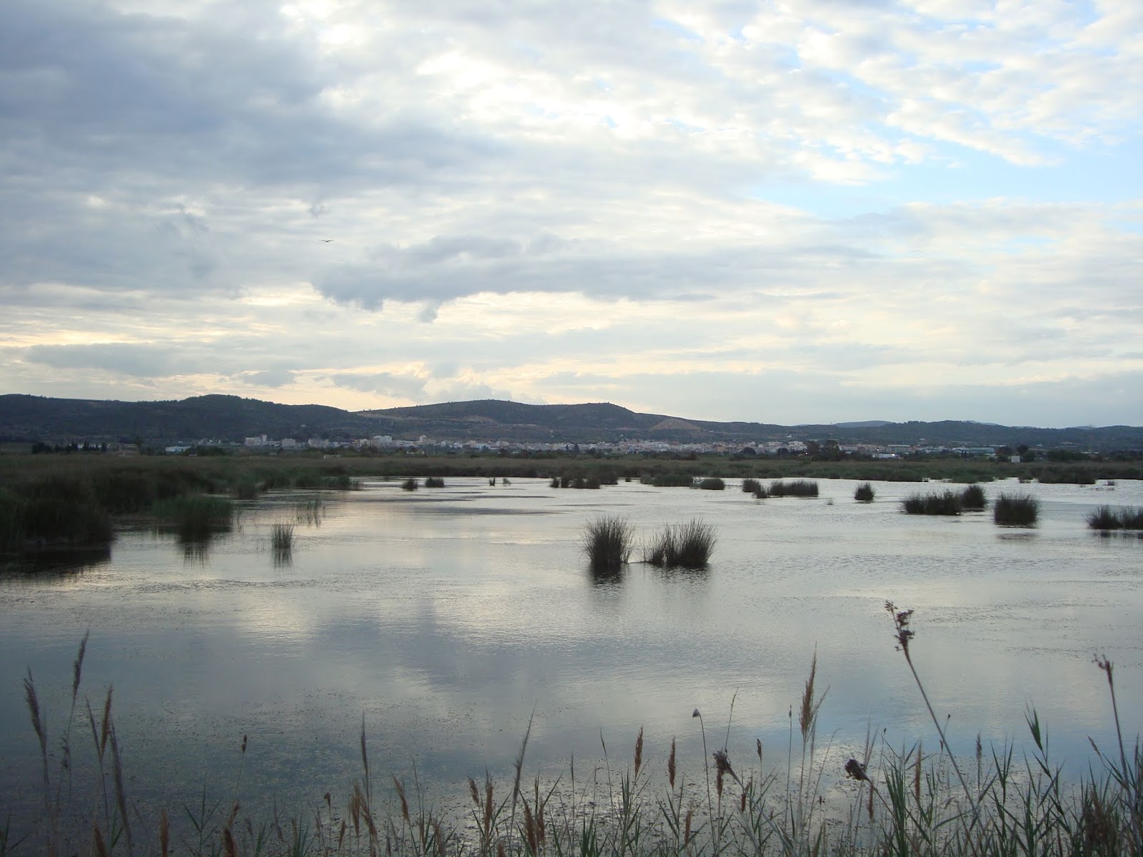 TORREBLANCA, HISTORIA, PATRIMONIOS Y BIODIVERSIDAD: EL PARQUE NATURAL DEL PRAT DE CABANES ...