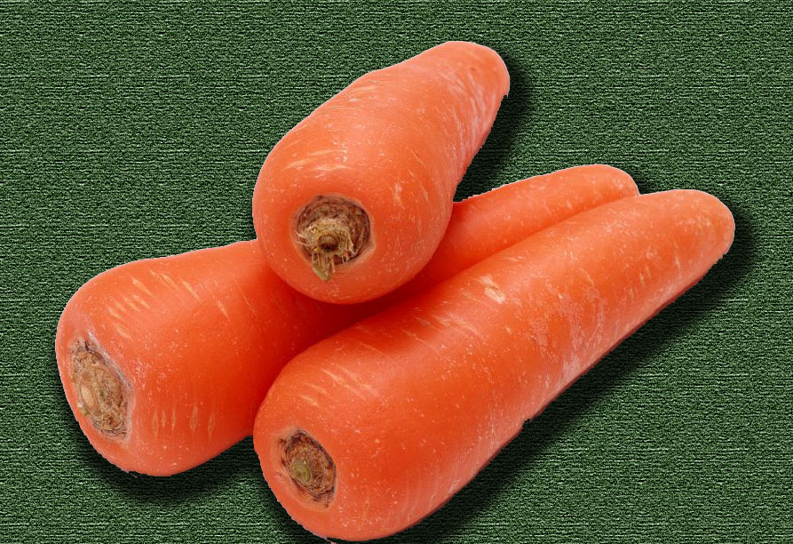 Coretan Evi: WORTEL DAN KHASIATNYA