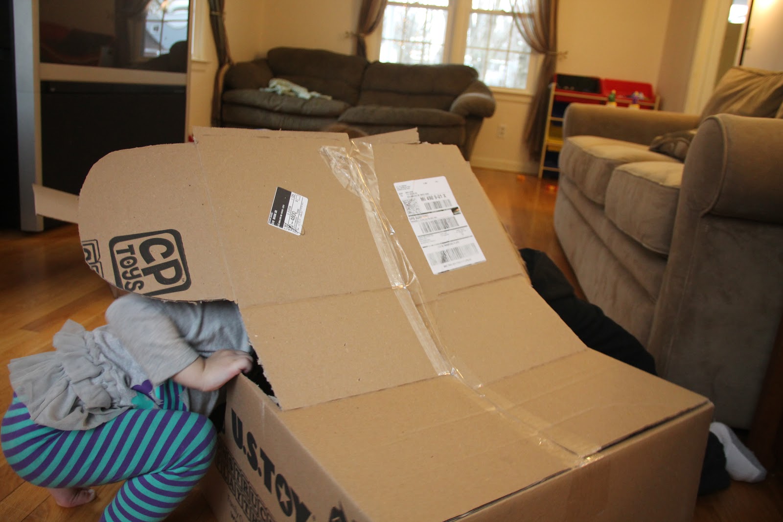 Today's Adventures: Box Cars