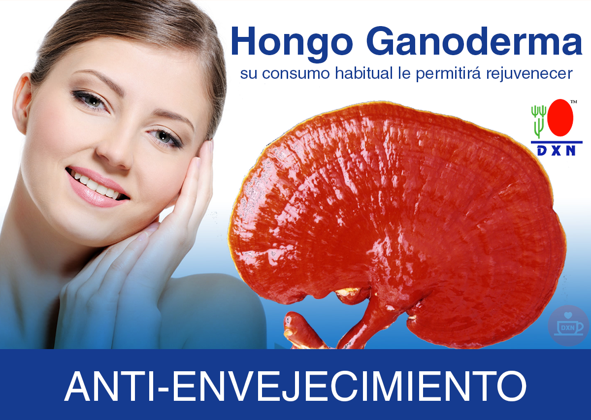 GANODERMA LUCIDUM... ¡EL HONGO DE LA INMORTALIDAD! | DXN Internacional ...