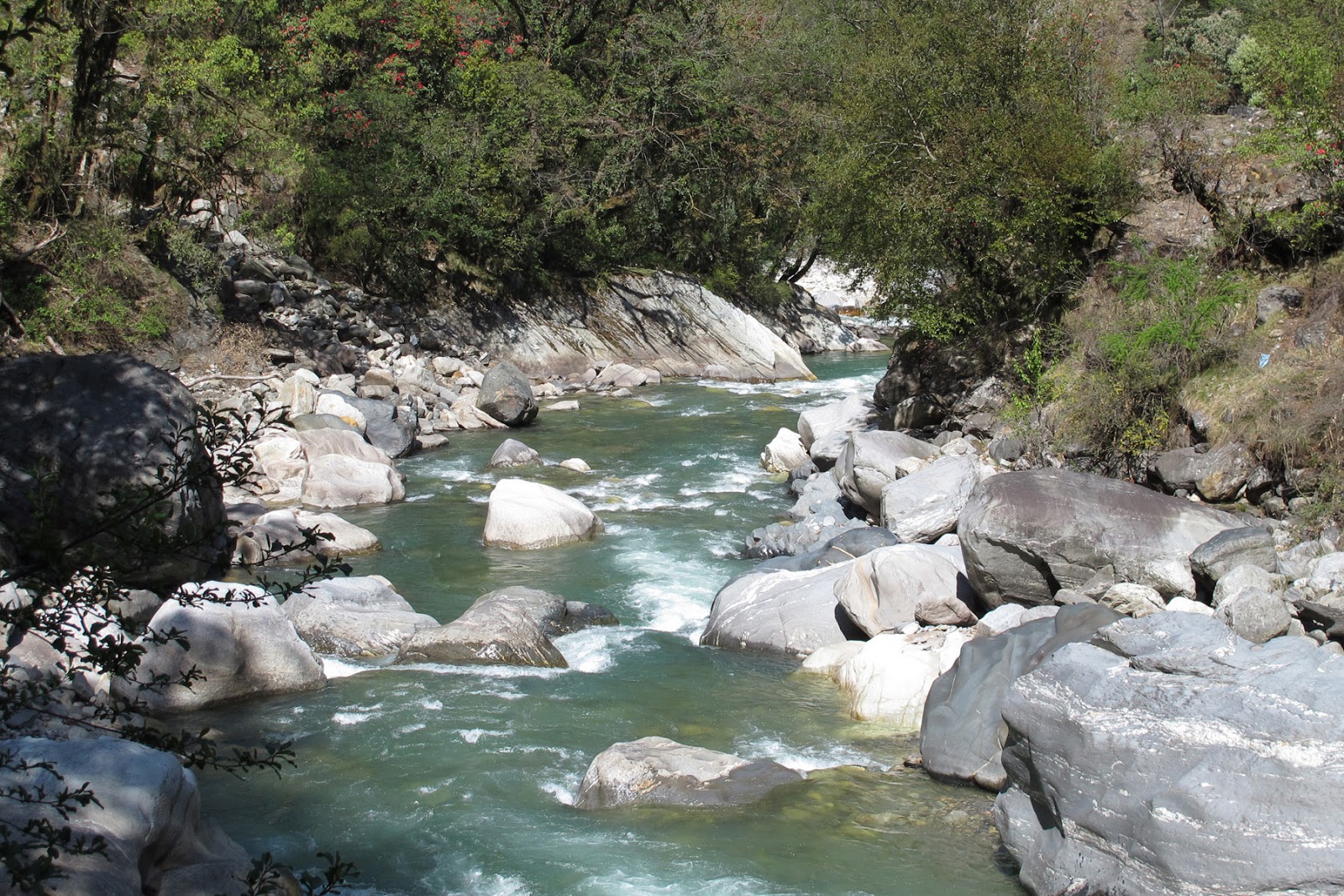 Away From Four Marks: 8th April – Dhurr