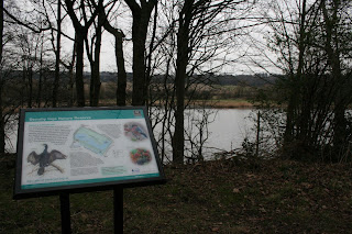 Discover Yorkshire's Wildlife: YWT Denaby Ings - 3 March 2013