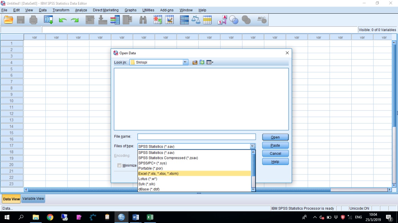 SPSS: Hasil Statistik Deskriptif