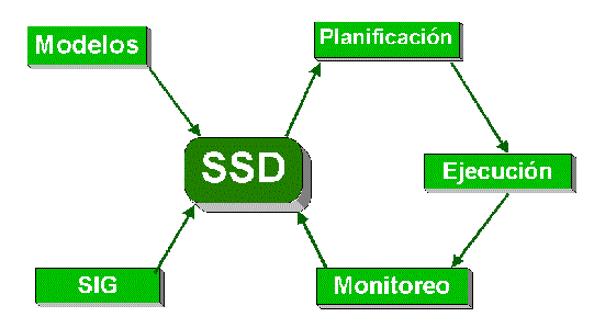 SIG: LOS SISTEMAS DE SOPORTE DE DECISIONES EN LOS NEGOCIOS - DSS