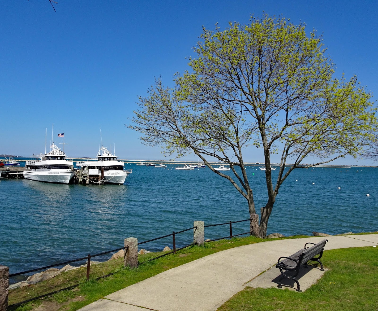 Joe's Retirement Blog: Spring On the Waterfront, Plymouth ...