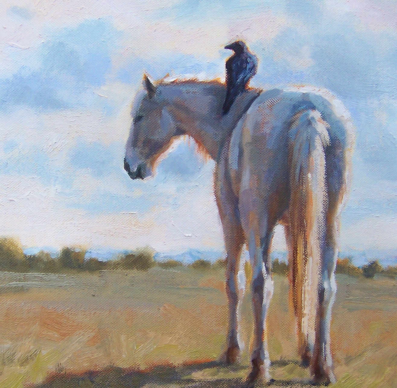 Susan Bell Fine Art: "Lazy Afternoon" , oil paintings Horses ...