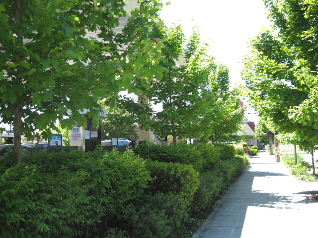 Seattle Garden Ideas: Commercial Landscapes: Safeway's "Green" Gas Station