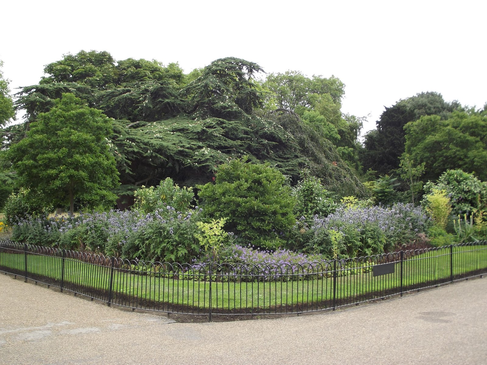 In The Garden: South Flower Walk - Kensington Gardens