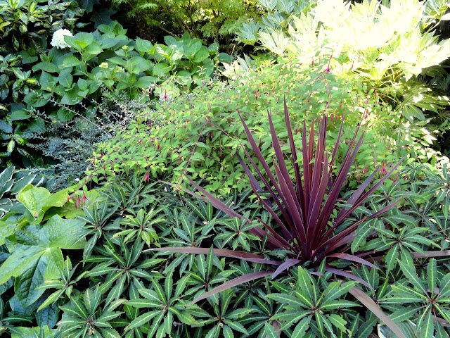 danger garden: A revisit: to a very densely planted, beautiful, garden...