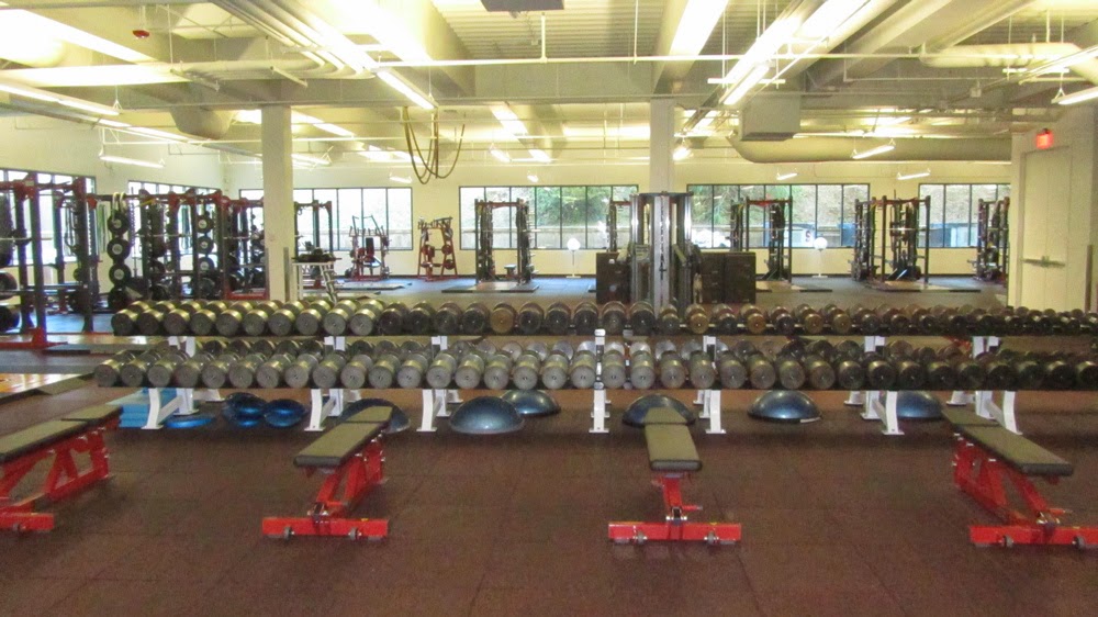 Lilypalooza: Inside look at Stanford football