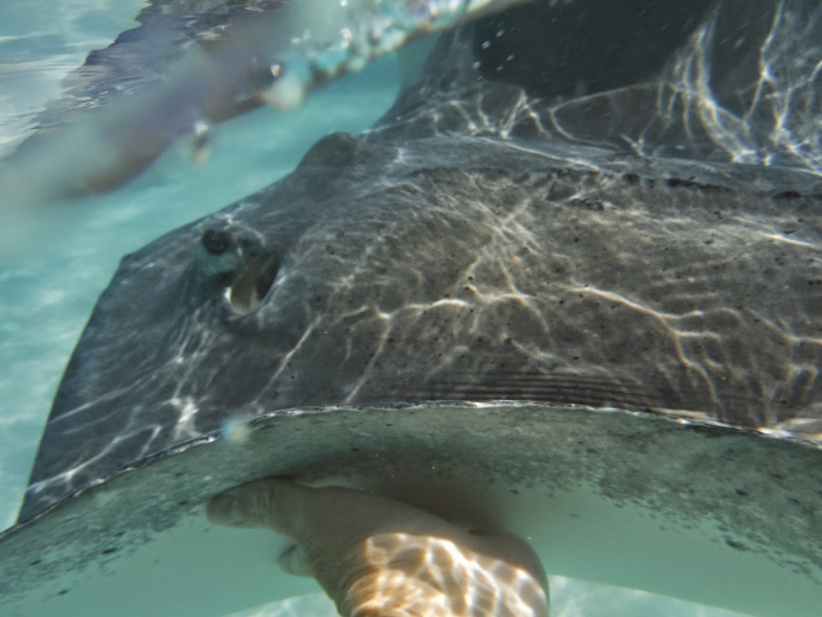 Deb's Days: An Adventure Soft as a Baby’s Bum