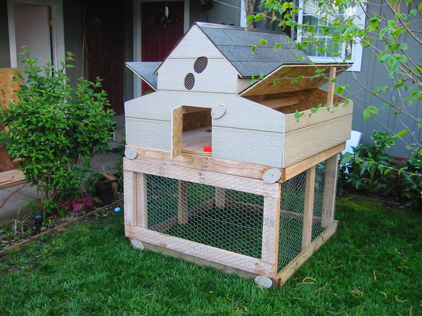 more infomation about chicken coop: need infomation about chicken coop