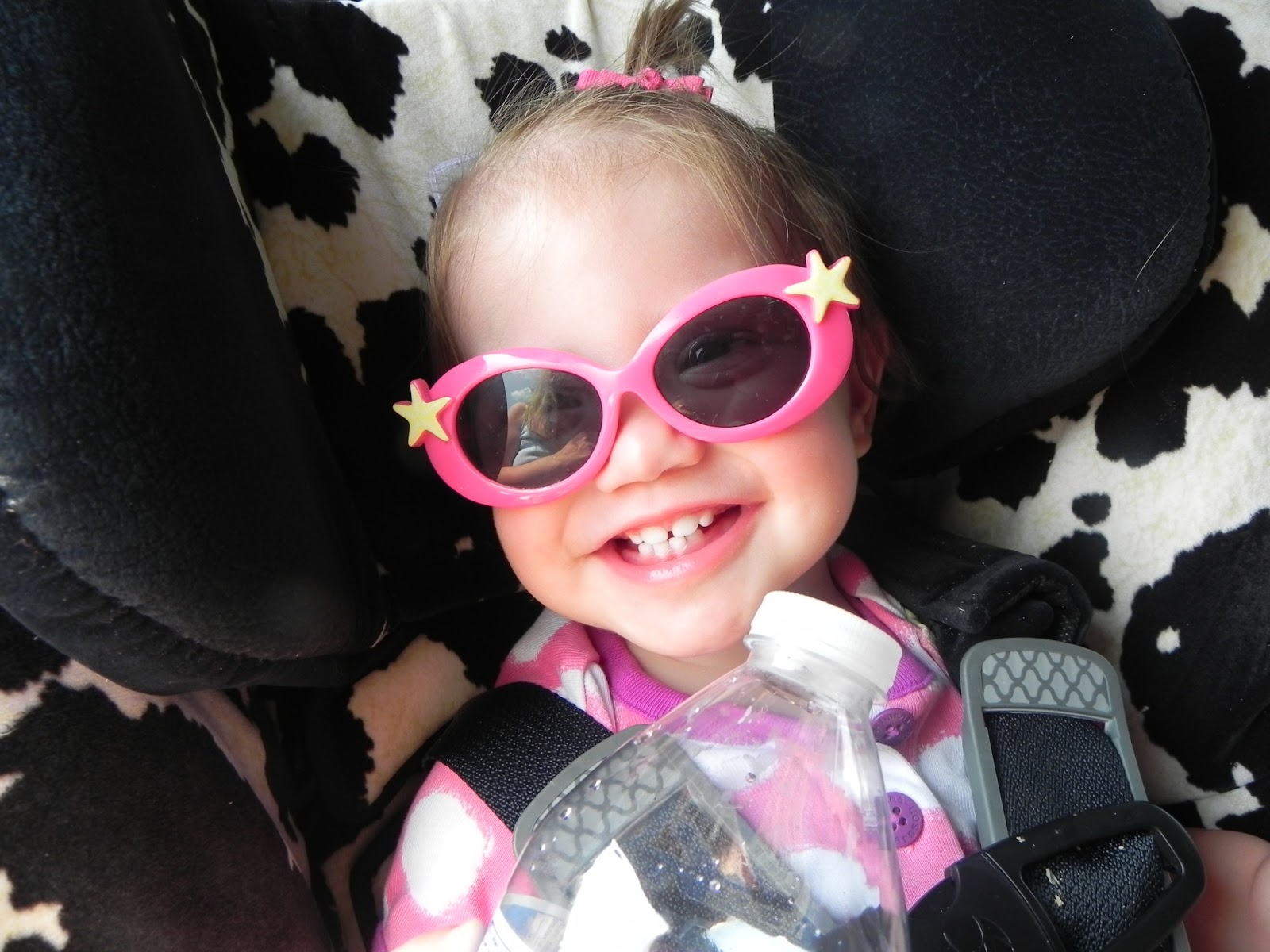 Leah Loo, Jelly Boo, and Teddy Too: On the Road to VB