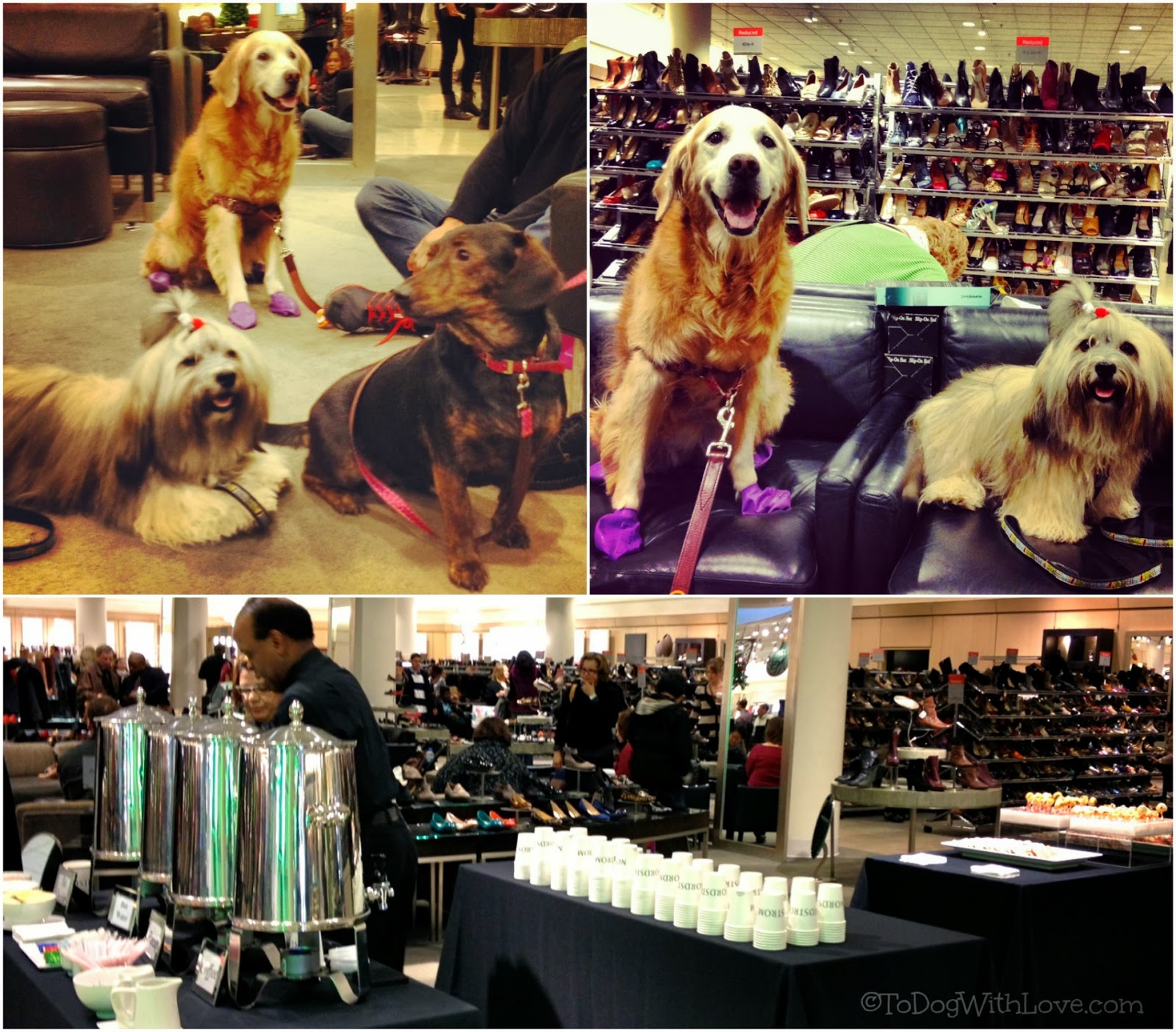 To Dog With Love: FitDog Friday: Shopping Edition