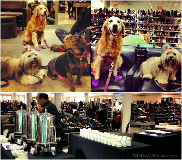 To Dog With Love: FitDog Friday: Shopping Edition