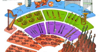 Luisa @ Glenbrae School: Parts of an Orchestra