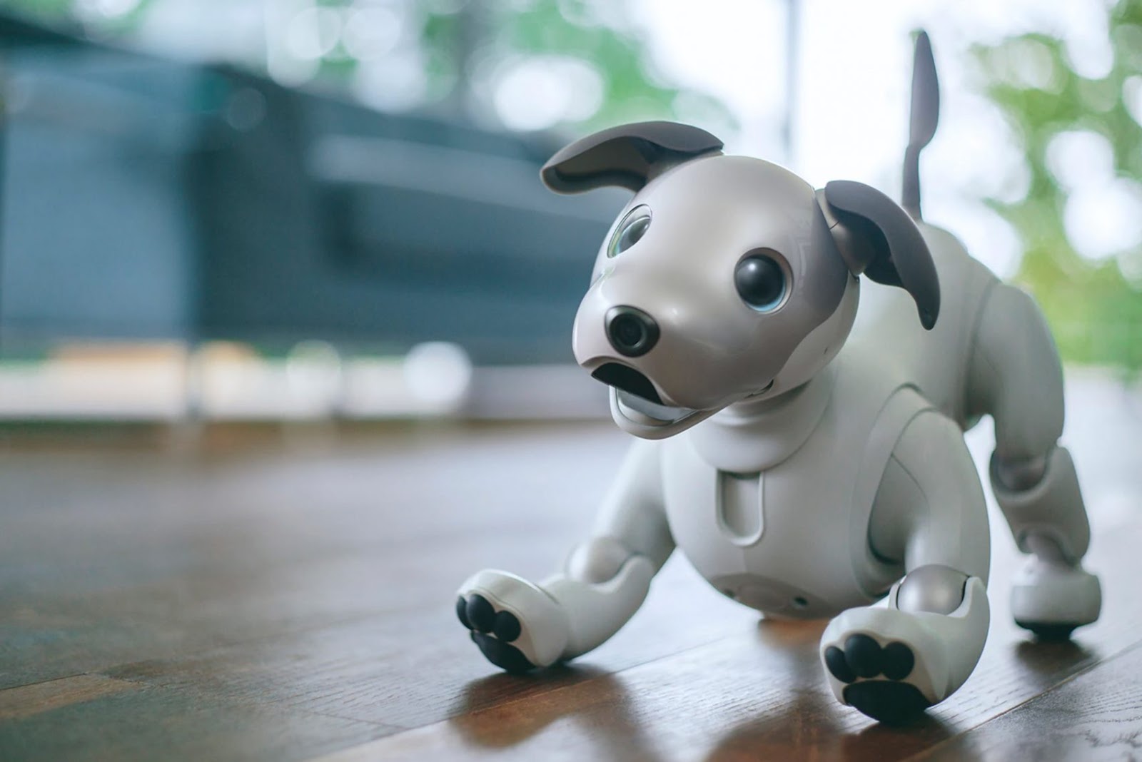「AI人工智慧」Sony Aibo 機器狗回來了！
