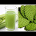 El Jugo De Nopal - Propiedades, Beneficios y Contraindicaciones Del Nopal