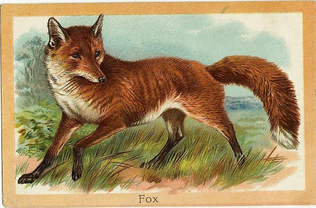 Art, Crafts and Decor by 58 Cherries: Vintage Cat and Fox Postcard Pics ...