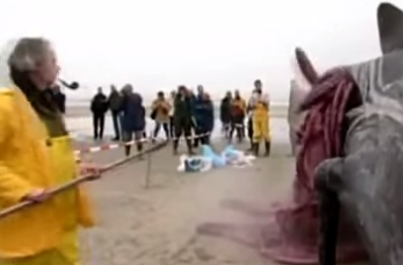 Strange News Video: Whale Explosion Videos 2014