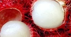 Resep Spesial Manisan Buah Rambutan - Resep Manisan