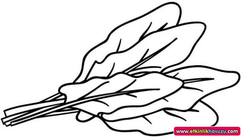 Çizim ve Boyama için Renksiz Meyve Sebze Resimleri - GamTeli