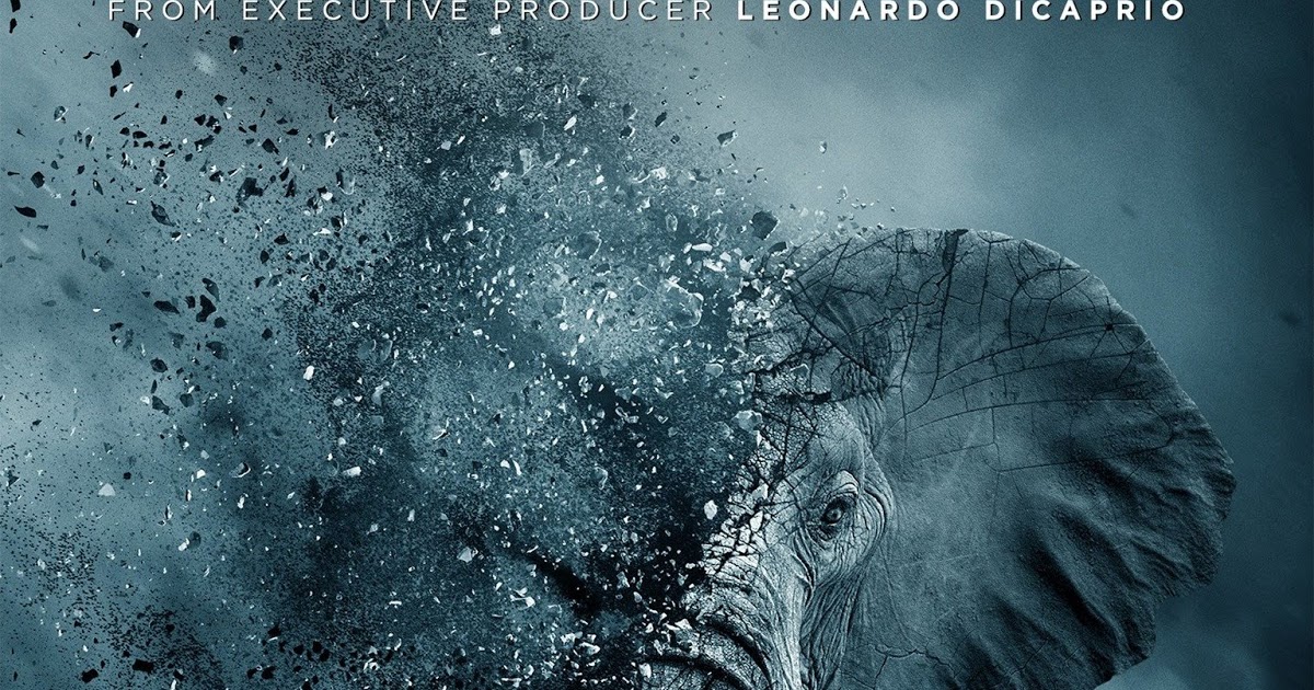 ONEgbfiles: Download The Ivory Game (2016)