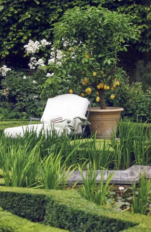 Roses and Rust: The Aesthete's Alphabet - O is for Outside
